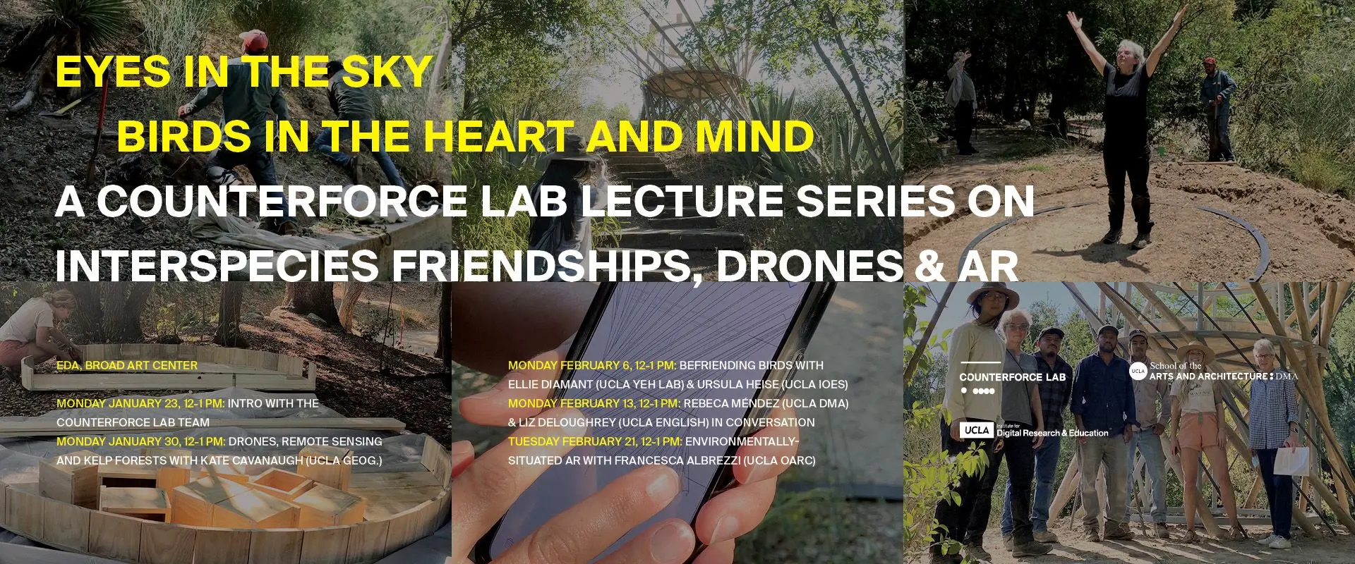 Eyes in the Sky, Birds in the Heart and Mind - Introduction