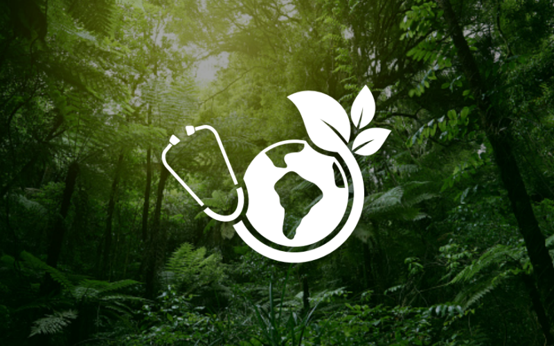 A Healthier Planet for a Happier New Year | UCLA Sustainability