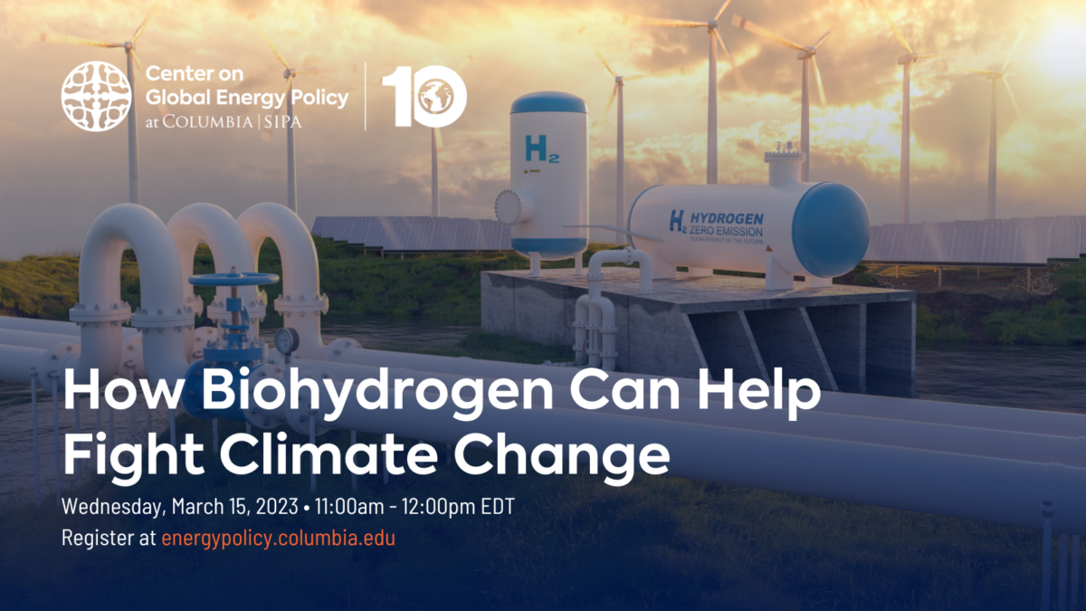 How Biohydrogen Can Help Fight Climate Change