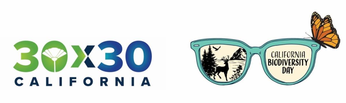 Showcase Webinar Celebrating Biodiversity Week