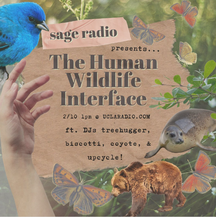 SAGE Radio: “The Human Wildlife Interface”