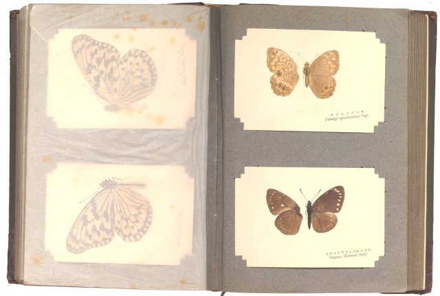 Captivity: Assembling Nature’s Histories
