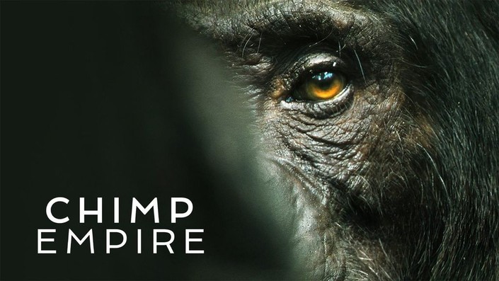 Chimp Empire: Screening and Roundtable with Filmmakers