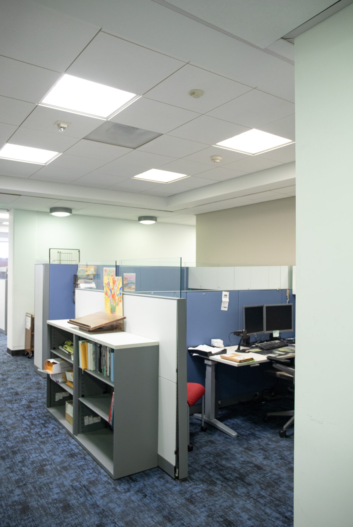 Bruins Going Green: Library edition! | UCLA Sustainability