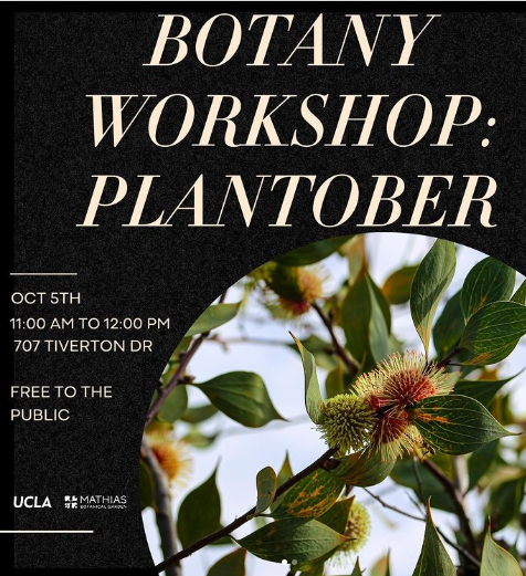 Botany Workshop: Plantober and Plant Propagation!